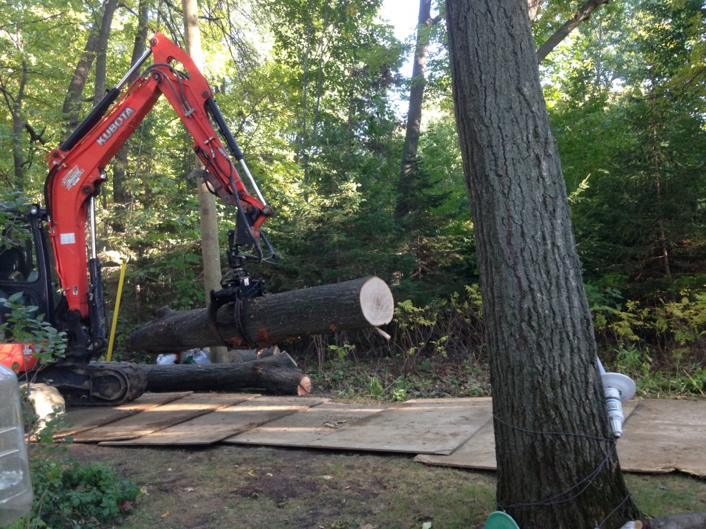 Déboisement - Service d'arbres Tessier - Trois-Rivières